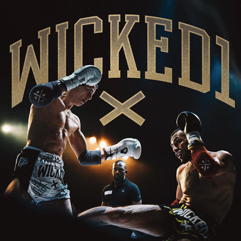 Combat Arena: tutto per Boxe, Kick Boxing, MMA, Muay Thai, Karate